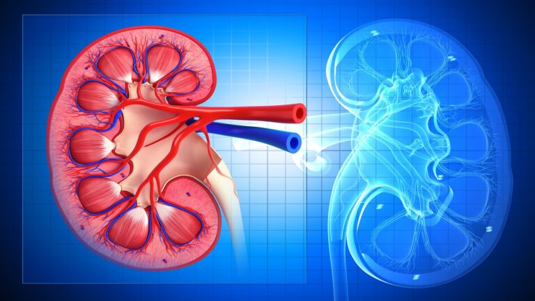 Renal Arter Stenozu - Op. Dr. İhsan Alur - Kalp ve Damar Cerrahi Uzmanı